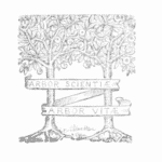 earthstoriez| TREE LORE: Trees in folklore