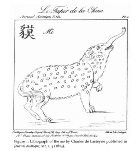 earthstoriez| History and Mythology of the xióng māo, Mo, pixiu or ...